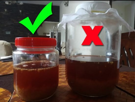 Why White Layer Develops on Water Kefir? Bad Smell or Foul Taste in ...